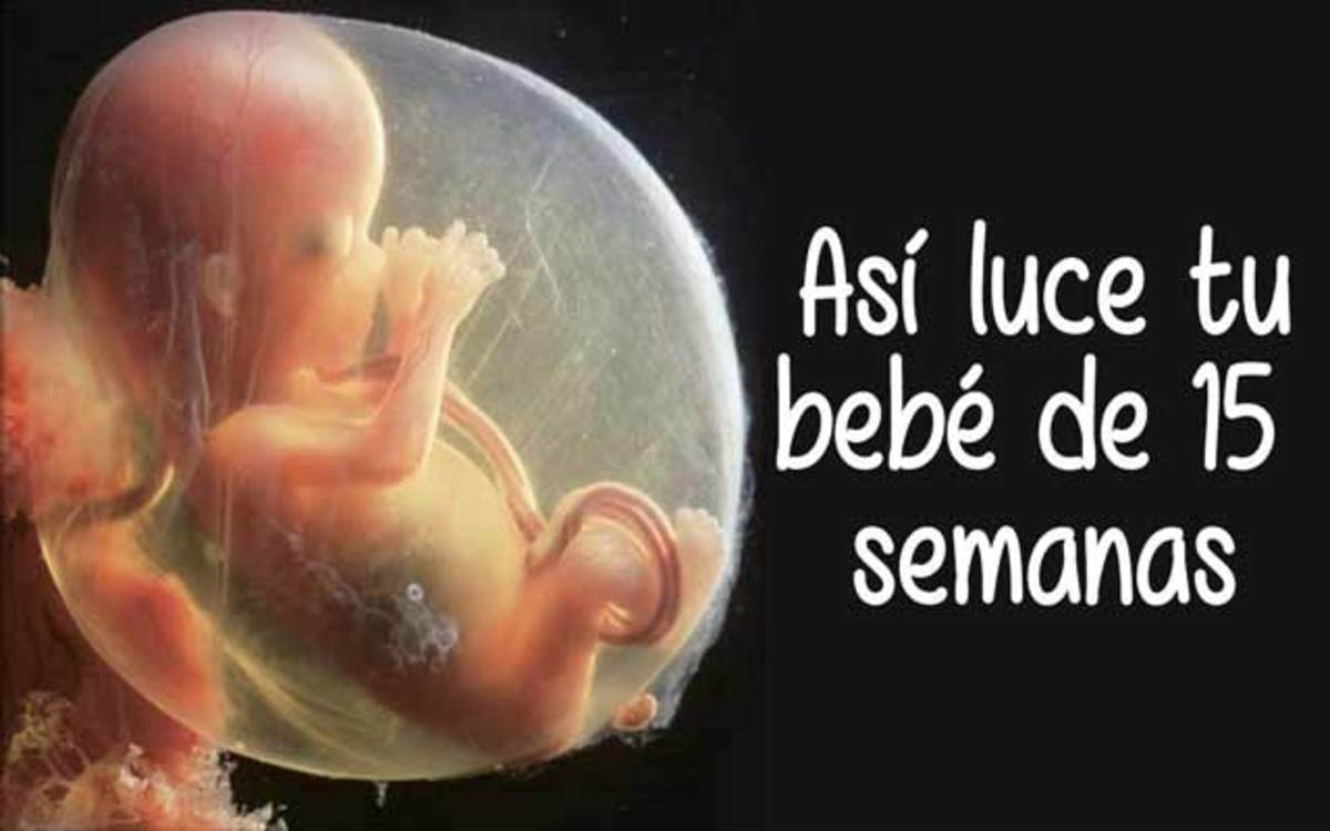 Semana 15 de embarazo
