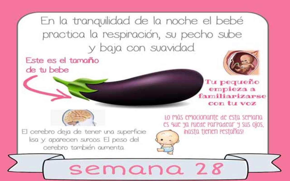 Semana 28 de embarazo