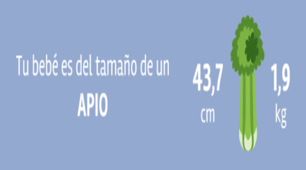 Semana 33 de embarazo