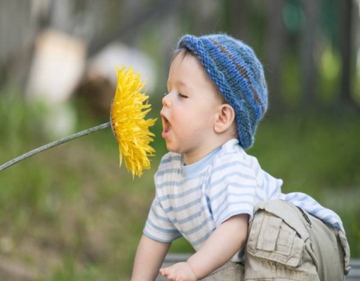 Desarrollo del olfato en bebés